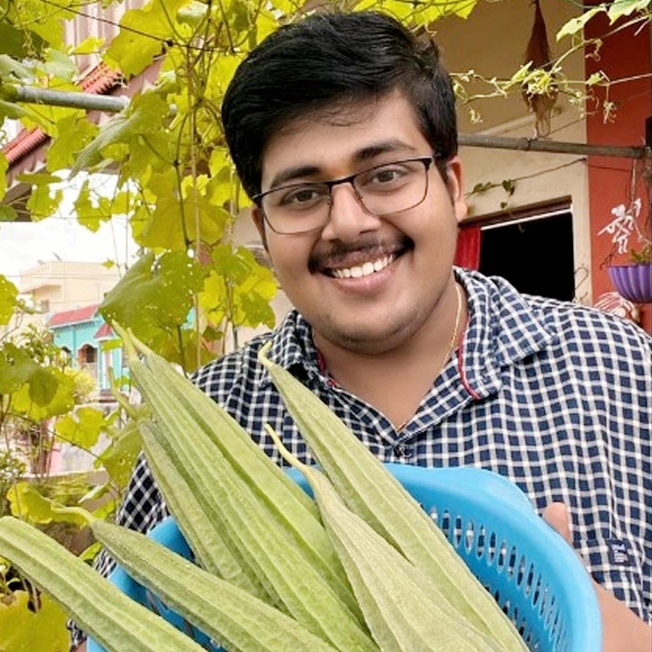 Beera/Ridge gourd Vereties – Organic Prabha Store